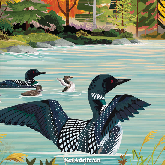 Loons on the Lake – Set Adrift Art